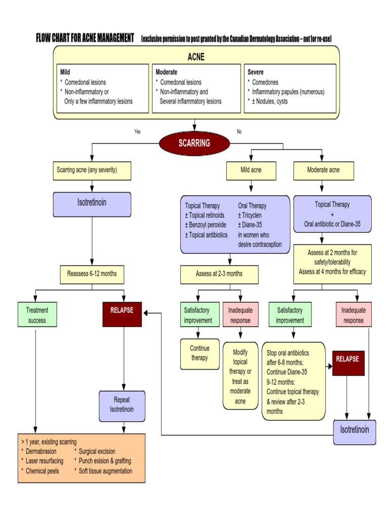 Flow Chart For Acne Management: Isotretinoin | PDF