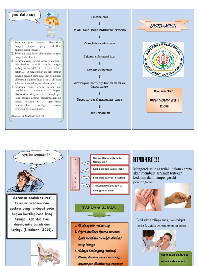 Leaflet Serumen | PDF