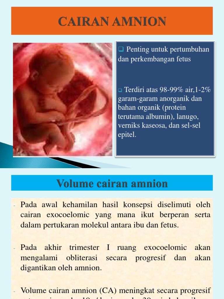 Cairan Amnion | PDF