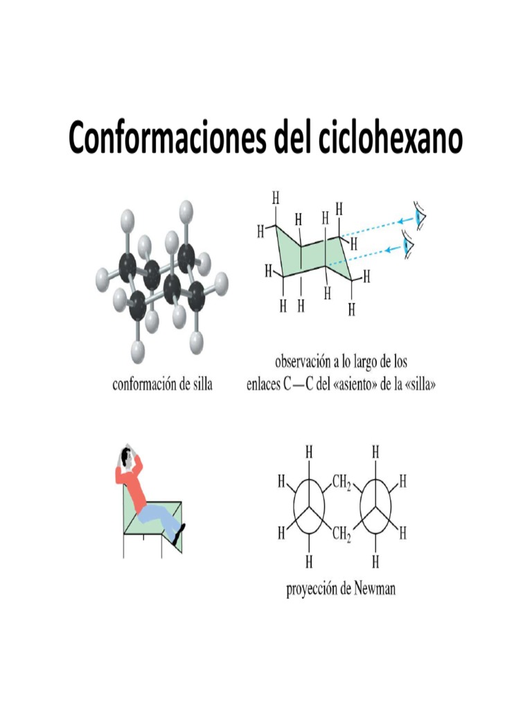 Conformaciones del ciclohexano: silla y bote | PDF