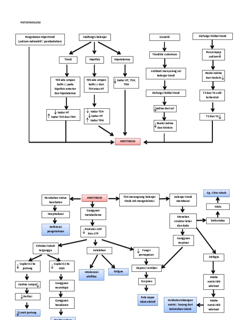 Hipotiroid Kongenital Patofisiologi Diagnosis Penatalaksanaan - Riset