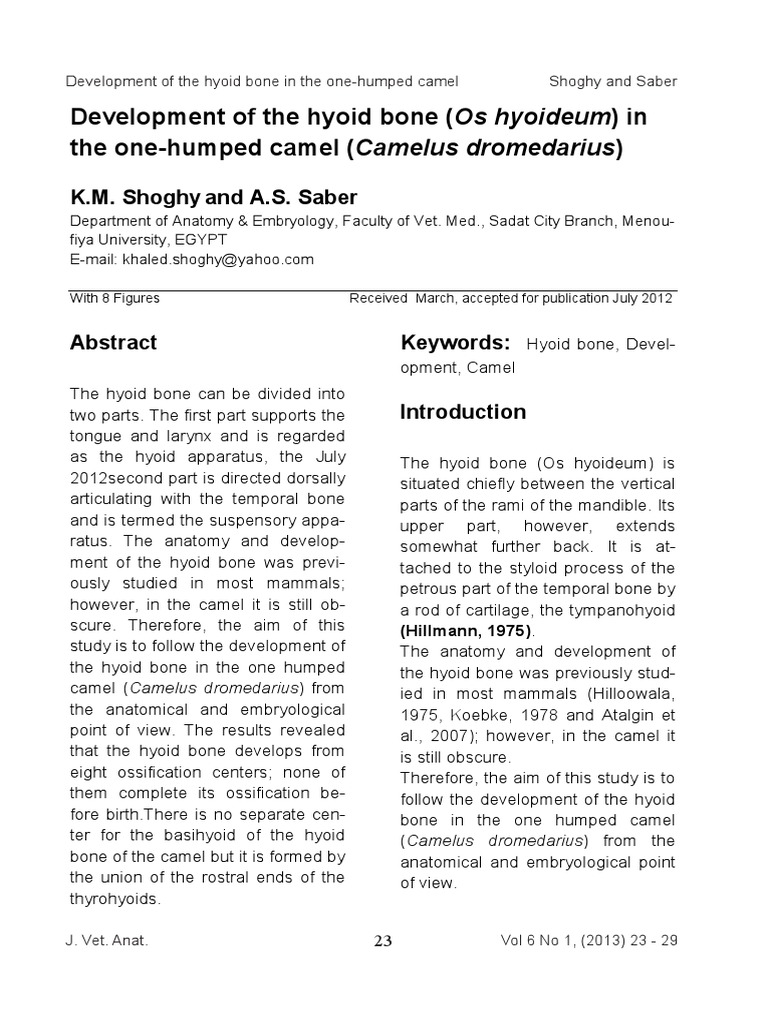 Development of The Hyoid Bone (Os Hyoideum) in The One-Humped Camel ...
