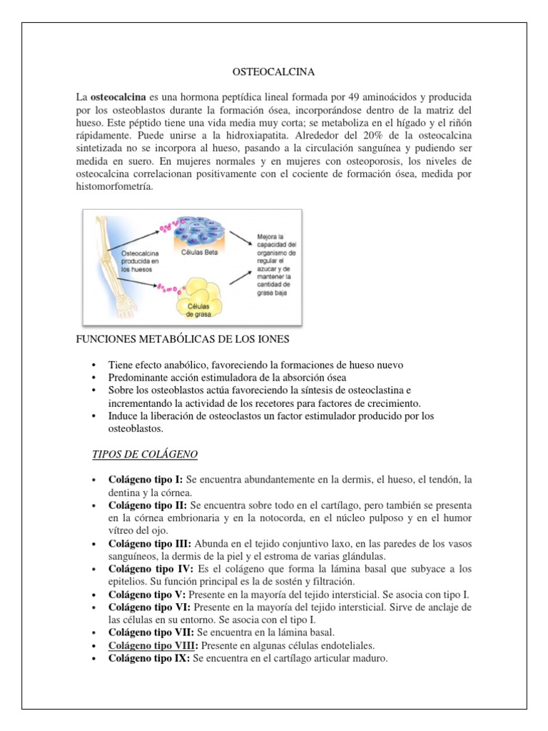 Osteocalcina y Tipos de Colágeno | PDF | Hueso | Colágeno