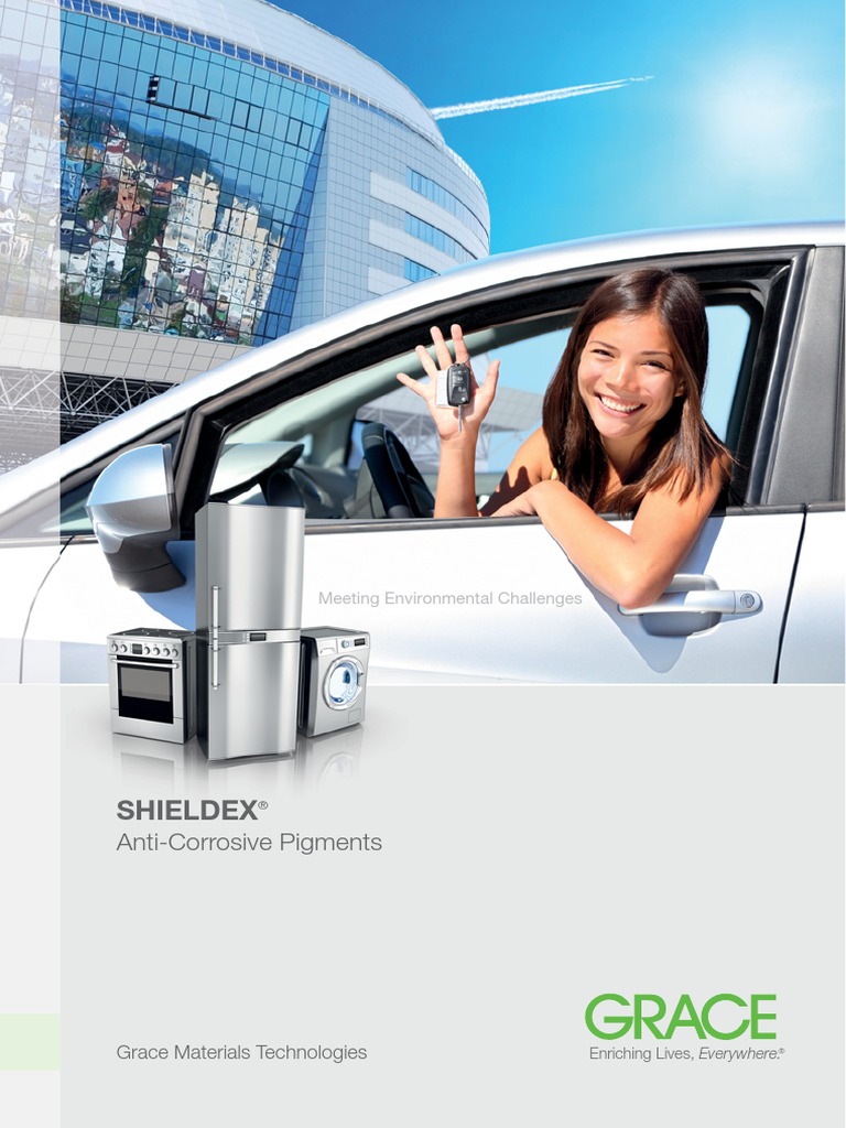 SHIELDEX Brochure - English | Download Free PDF | Redox | Silicon Dioxide