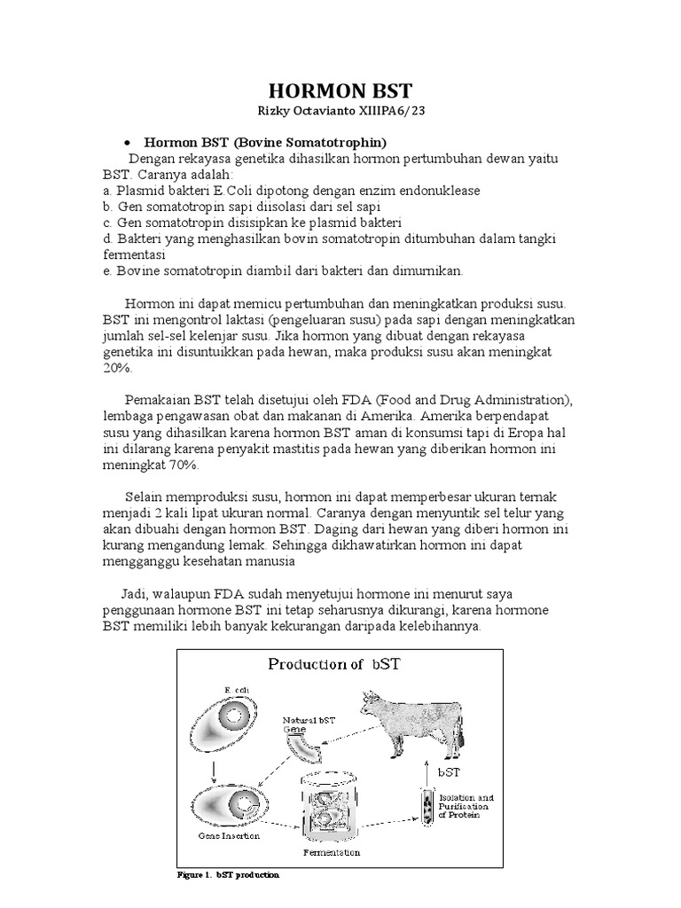 Hormon BST | PDF | Kesehatan Holistik