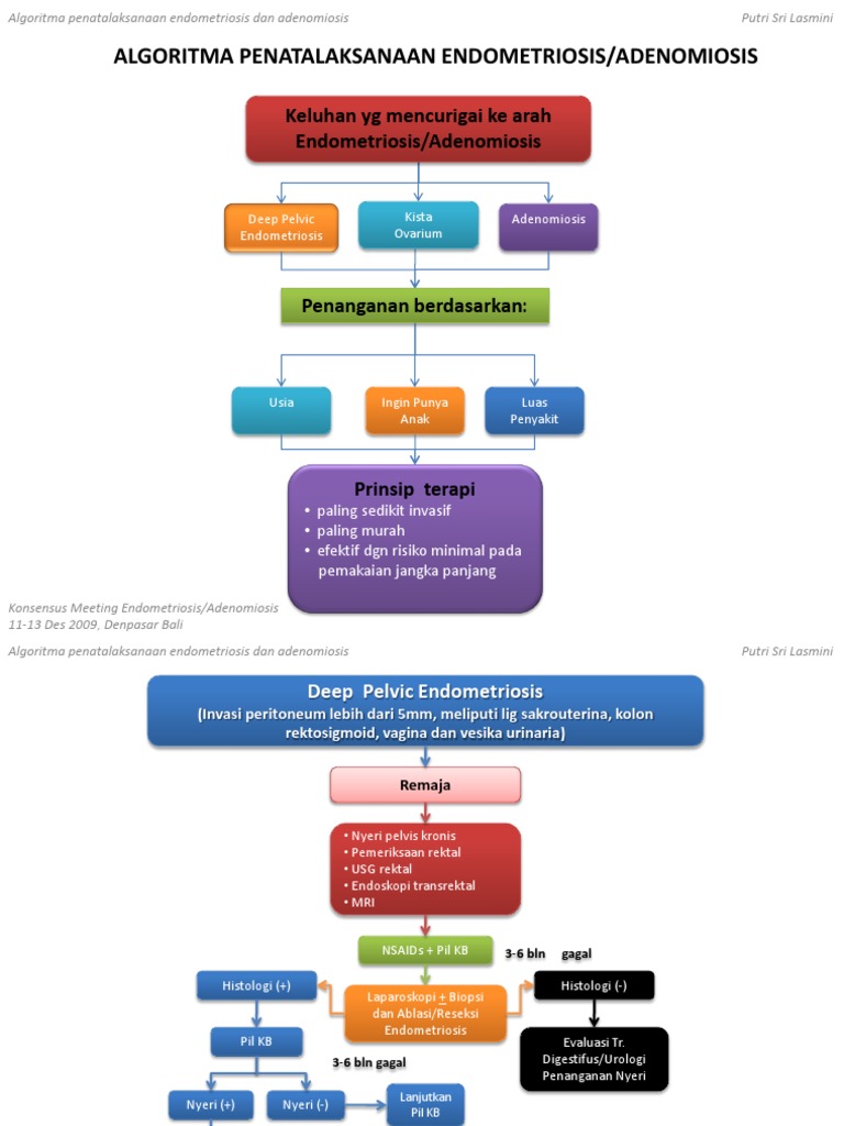 Algoritma Penatalaksanaan Endometriosis | PDF