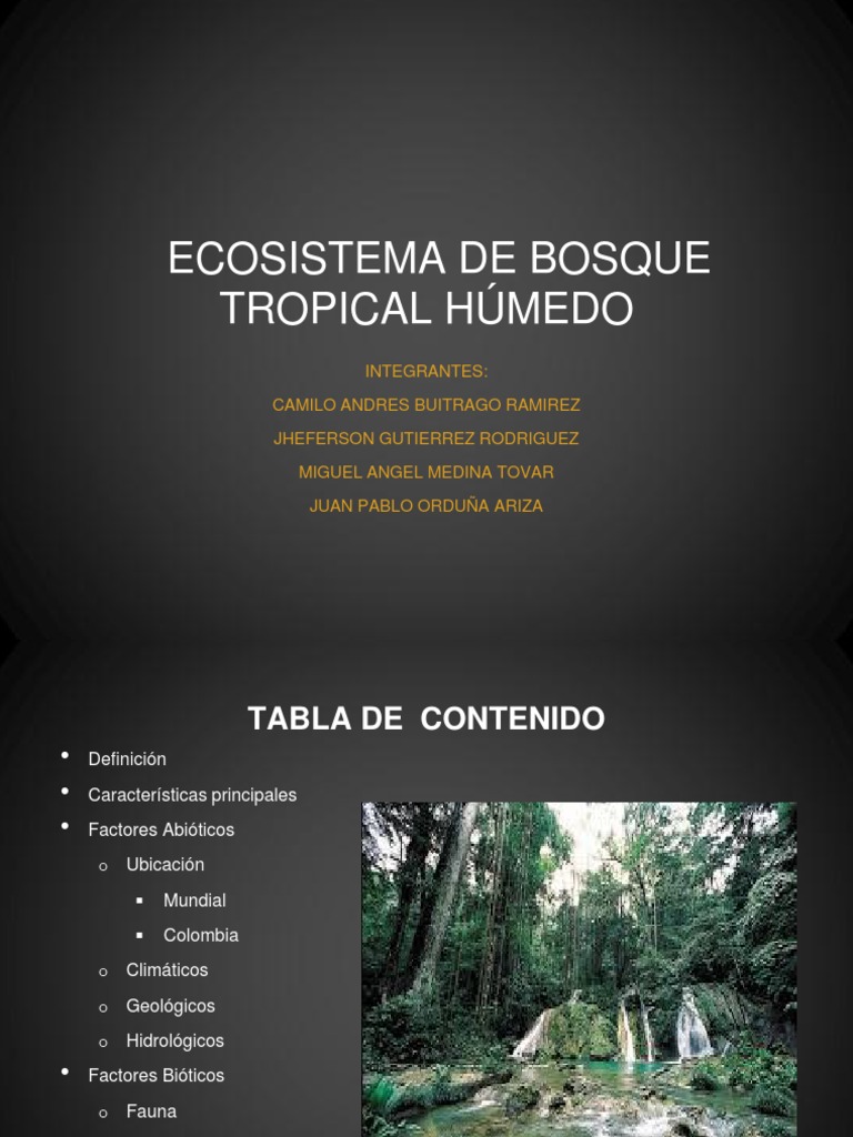 Ecosistema Tropical Final2 | PDF | Selva | Zona tropical