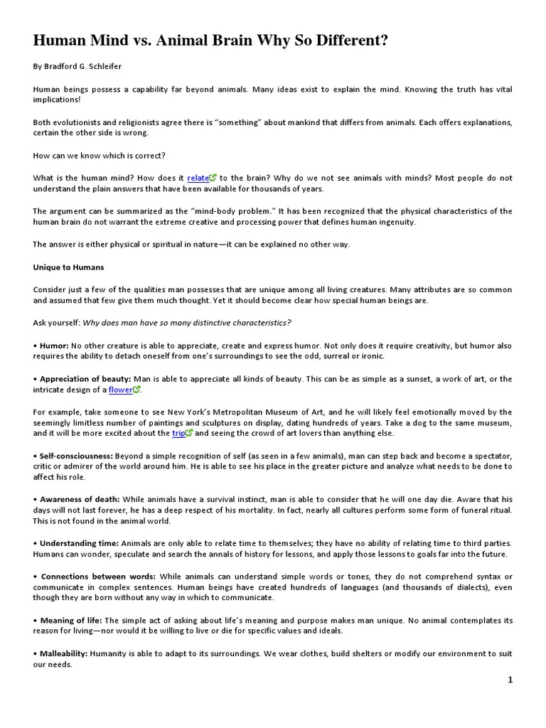 Human Vs Animals | PDF | Neocortex | Soul