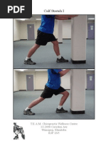 Alfredson Protocol - Achille's Tendonitis | PDF | Pain | Clinical Medicine