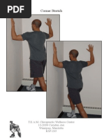 Alfredson Protocol - Achille's Tendonitis | PDF | Pain | Clinical Medicine