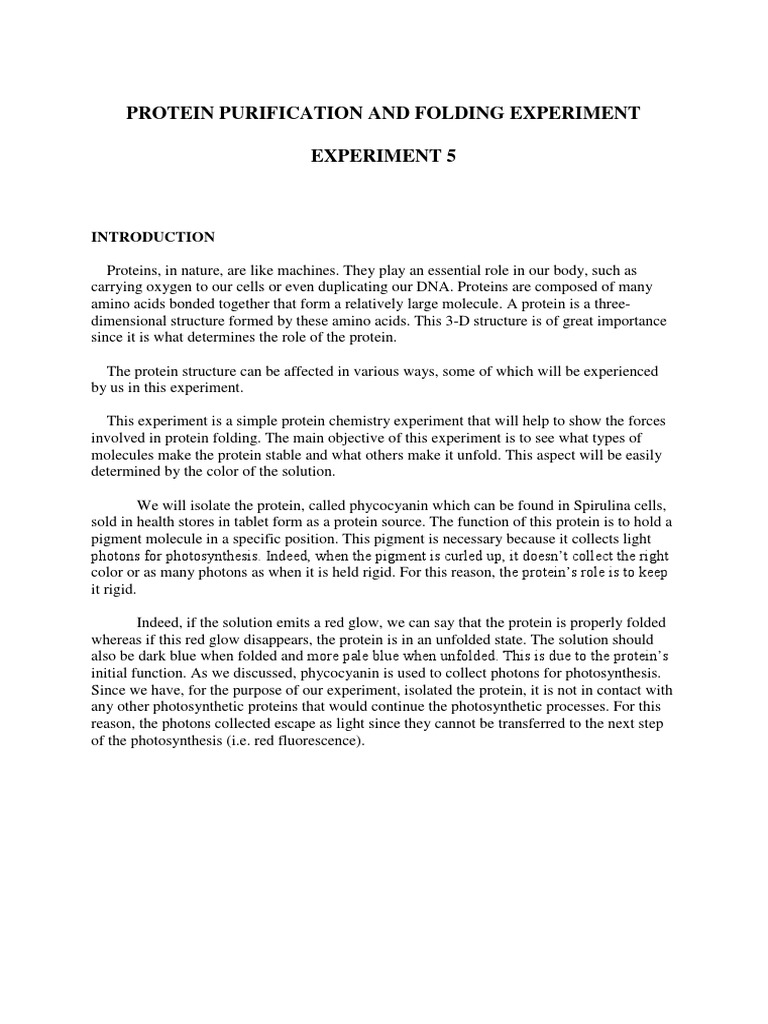 Exp#5 Lab Report | PDF | Proteins | Protein Folding