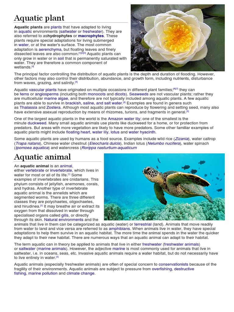 Aquatic Plants Adaptations Wetland Habitats | PDF | Aquatic Organisms ...