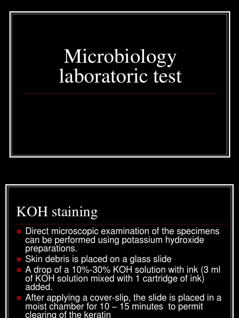 KOH Staining Procedure in Microbiology | PDF