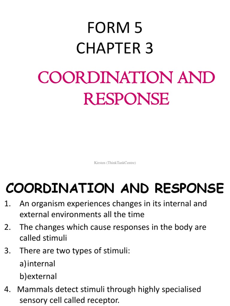 Coordination and Response in Humans | PDF | Kidney | Nervous System