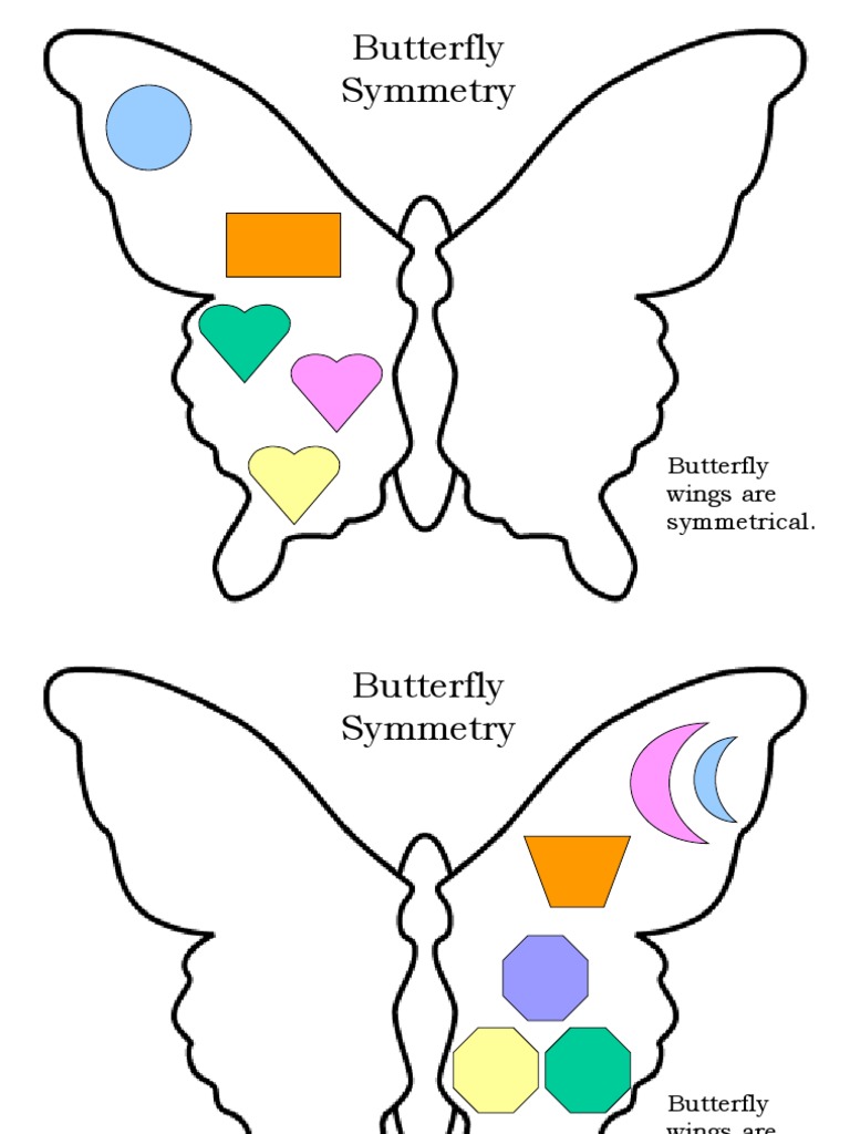 Butterfly Symmetry Activity | PDF
