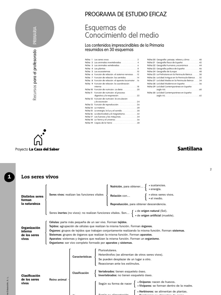 Esquemas Cono 6º Primaria | PDF | Ciencia y matemáticas