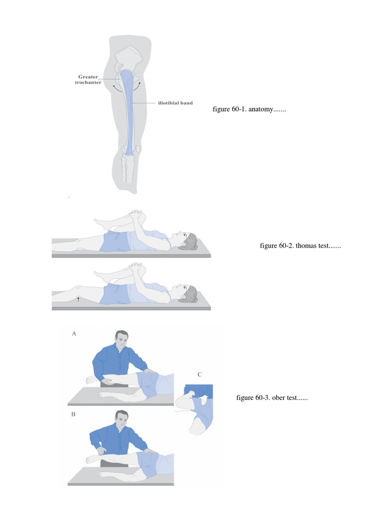 Reference Text Book | Download Free PDF | Musculoskeletal System ...
