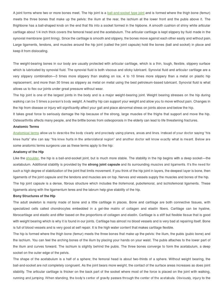 Anatomy of A Human Being | PDF | Hip | Pelvis