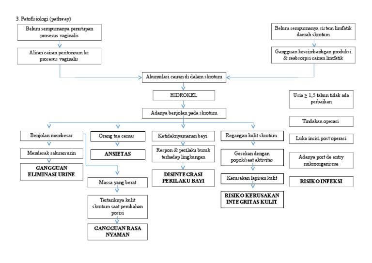 Pathway Hidrokel | PDF