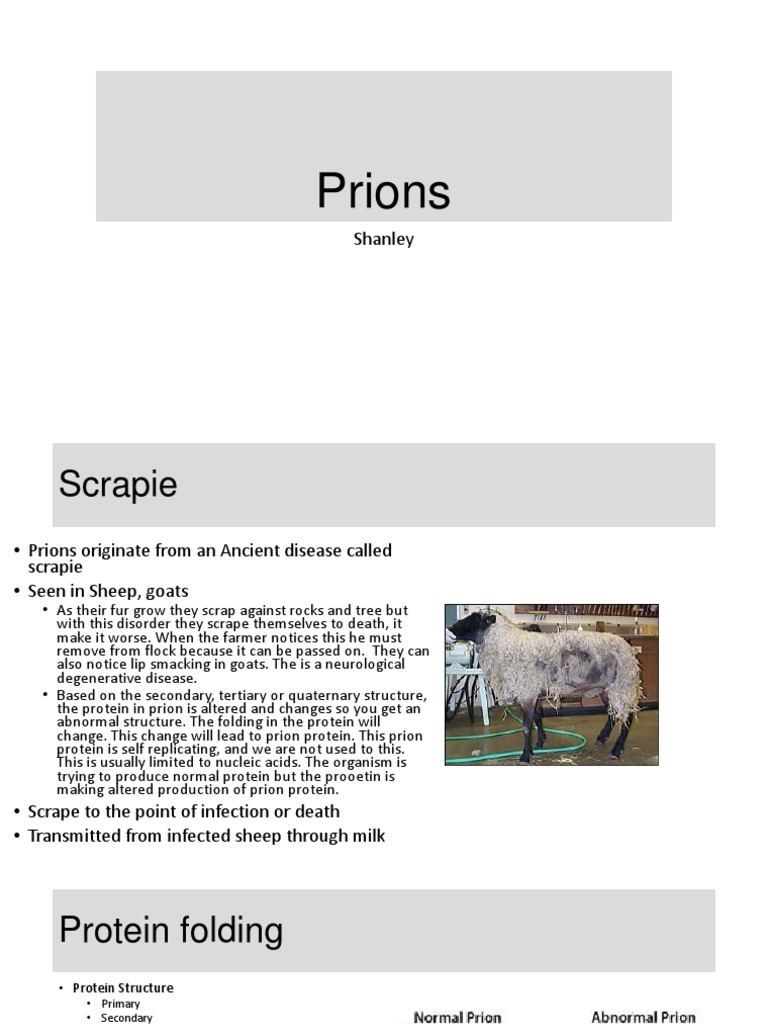 Origins and Transmission of Prion Diseases: From Scrapie in Sheep to ...