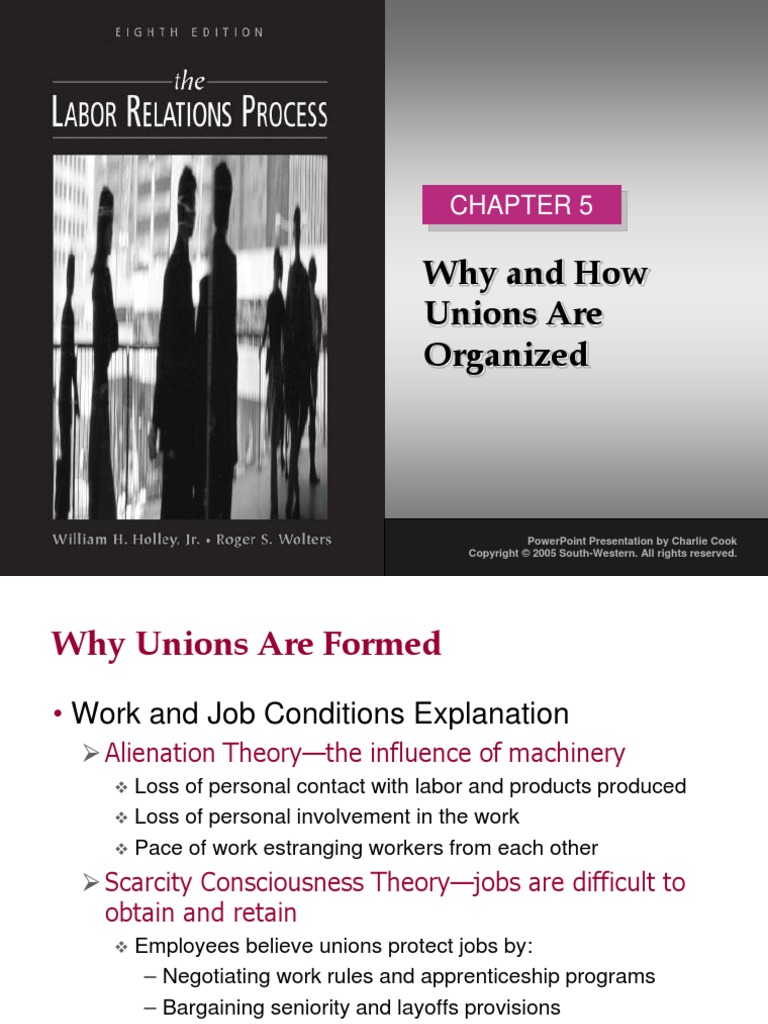 Bab 5 Why and How Unions Are Organized | PDF | Trade Union | Collective ...