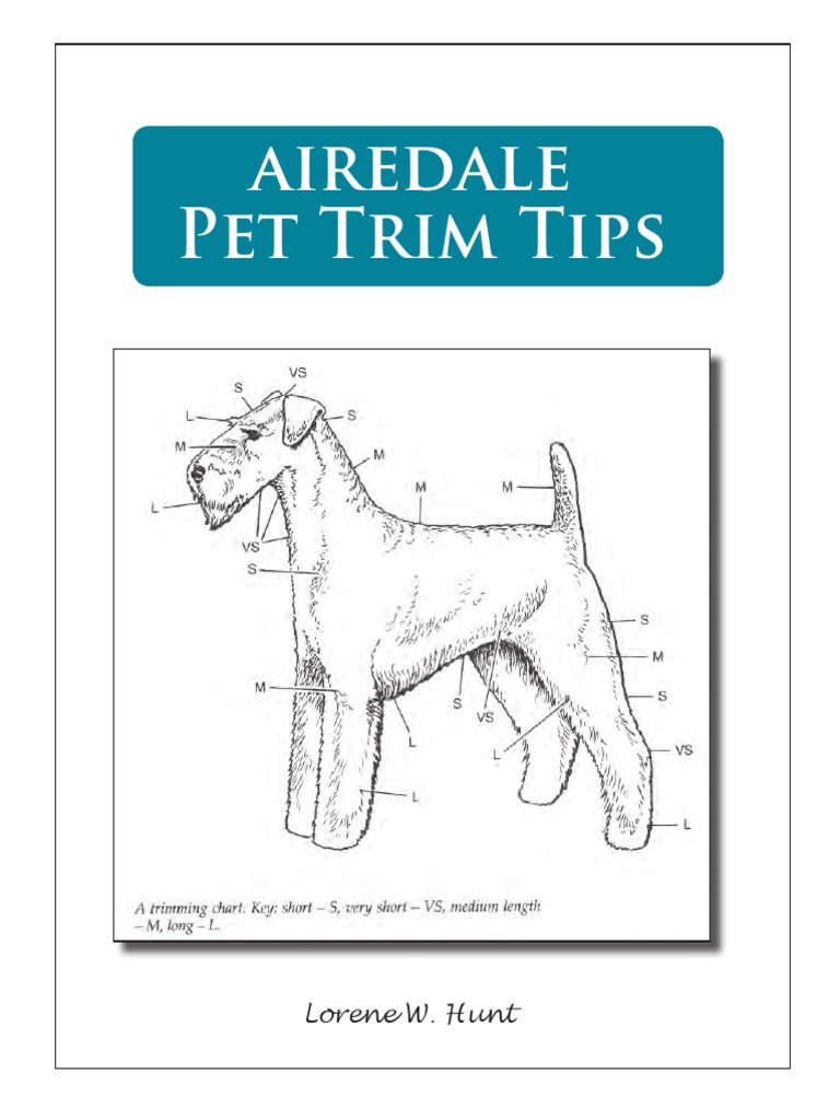 Airedale Terrier Grooming Pattern