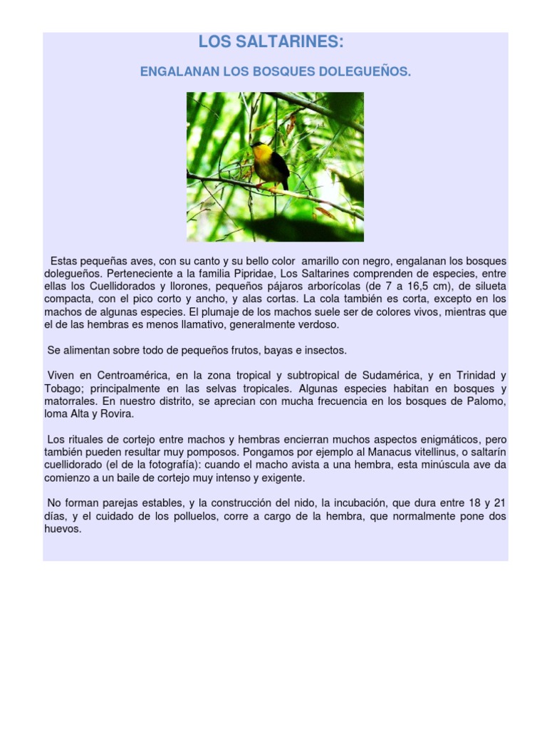 Los Saltarines | PDF