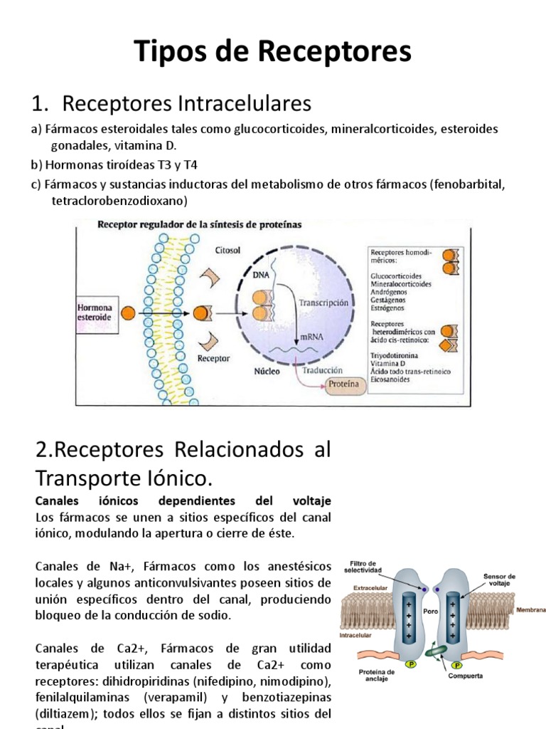 Tipos de Receptores | PDF | Receptor (Bioquímica) | Biología Celular