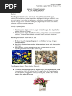 Nota Tingkatan 1 PSV | PDF