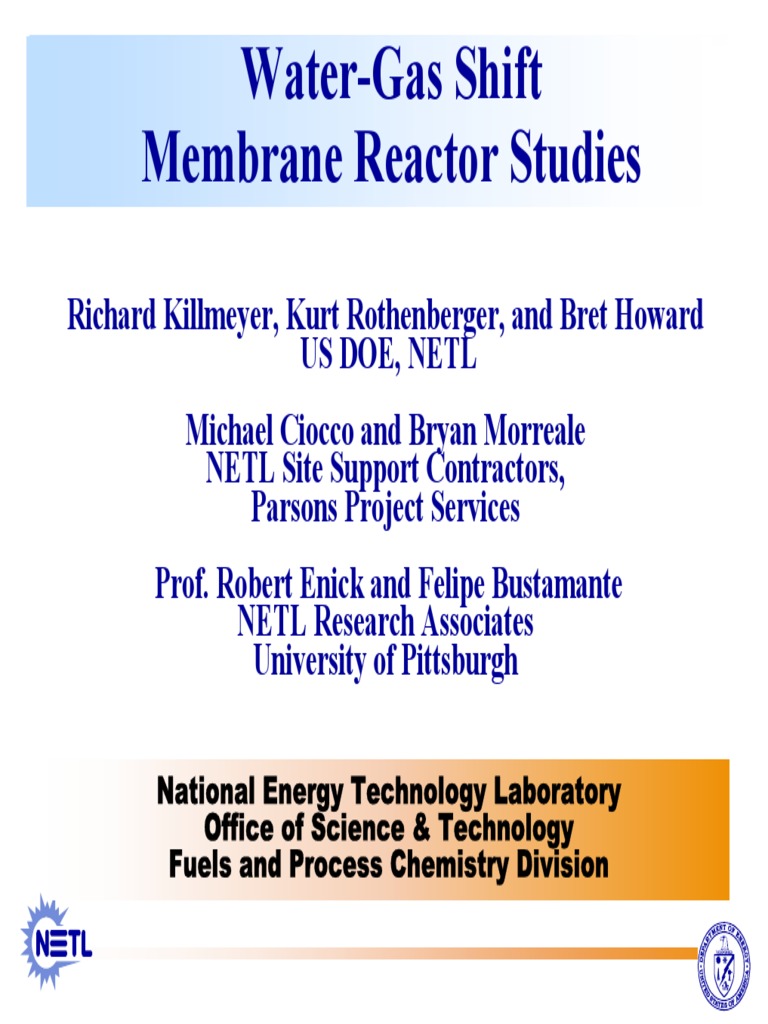 Water of Conversion | PDF | Gasification | Catalysis