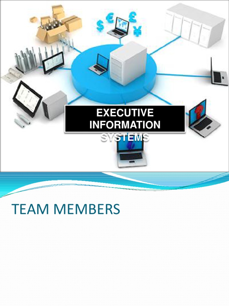 Executive Information Systems | PDF | Databases | Management ...