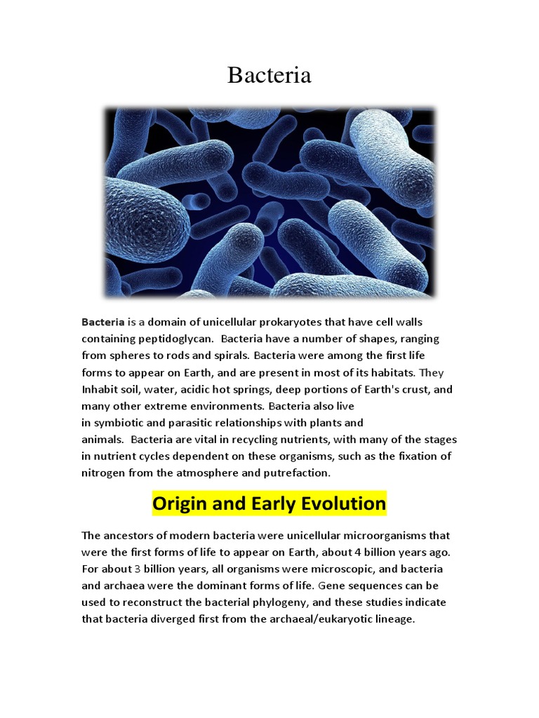 Overview of Bacteria and Their Roles | PDF | Bacteria | Cell Growth