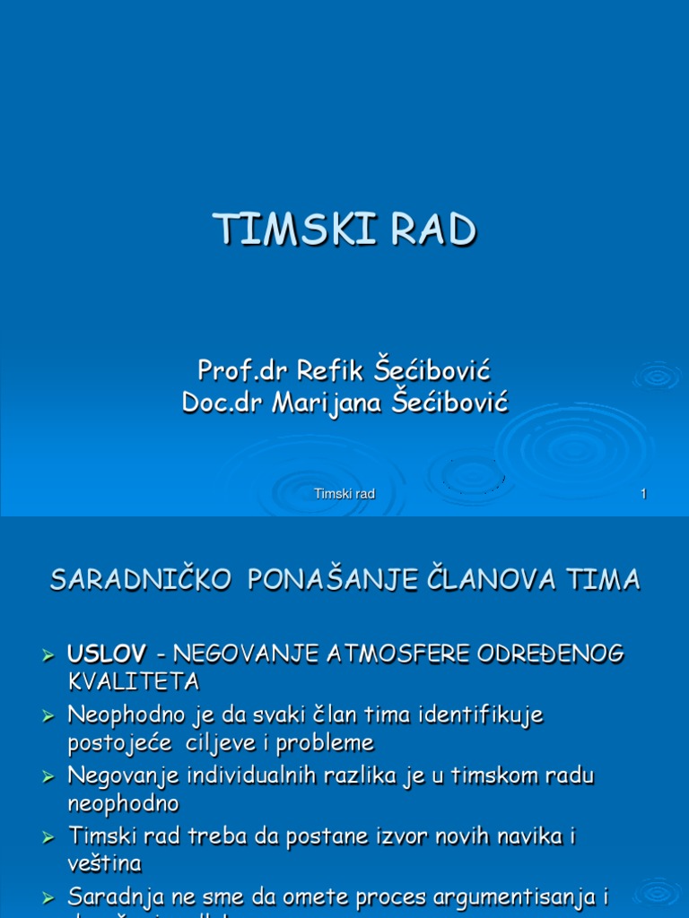Timski Rad | PDF