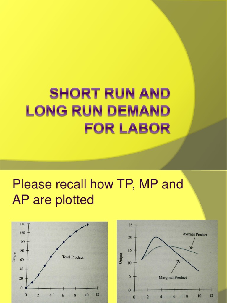 Short and Long Run Labor Demand Analysis | PDF | Labour Economics | Demand