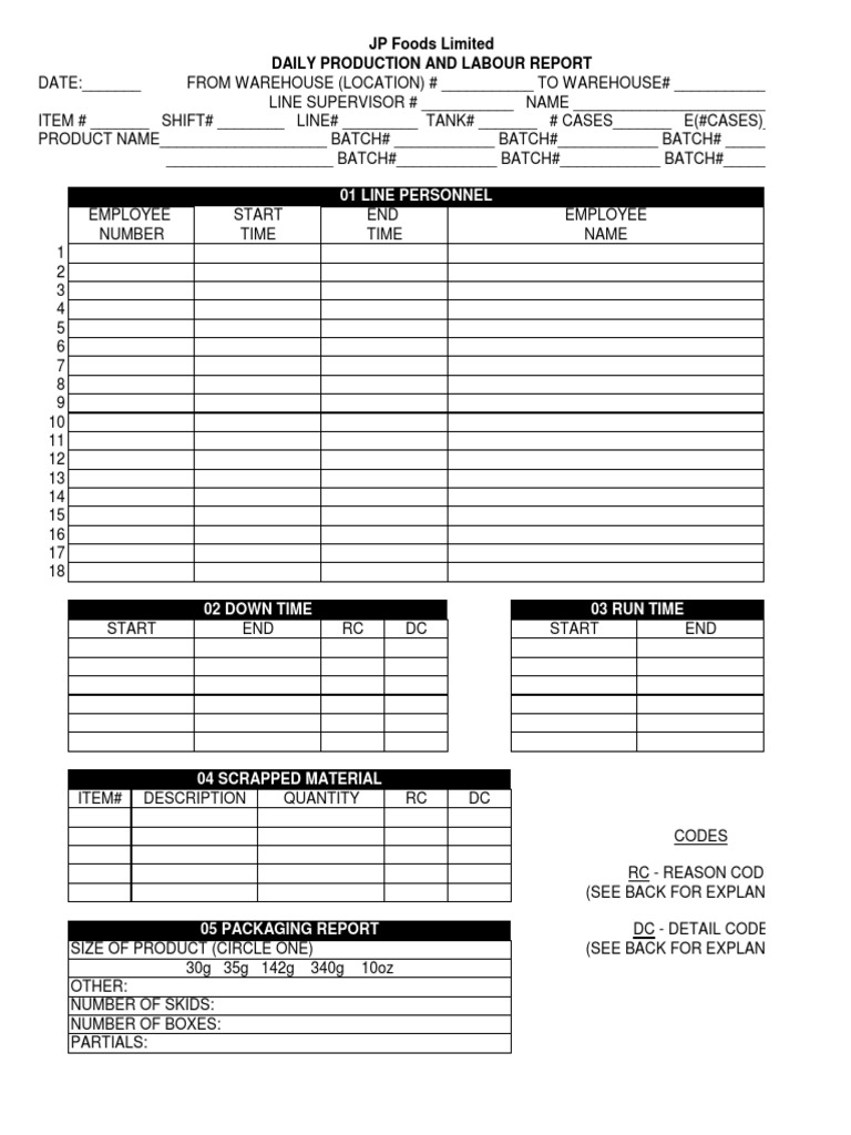 Daily Production and Labour Report | PDF | Finance & Money Management