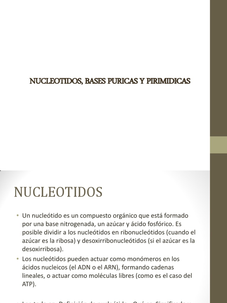Nucleotidos Bases Puricas y Pirimidicas1 | PDF | Nucleótidos | Ácidos ...
