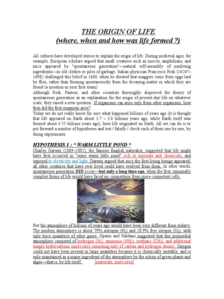 The Origin of Life | PDF | Nucleotides | Abiogenesis