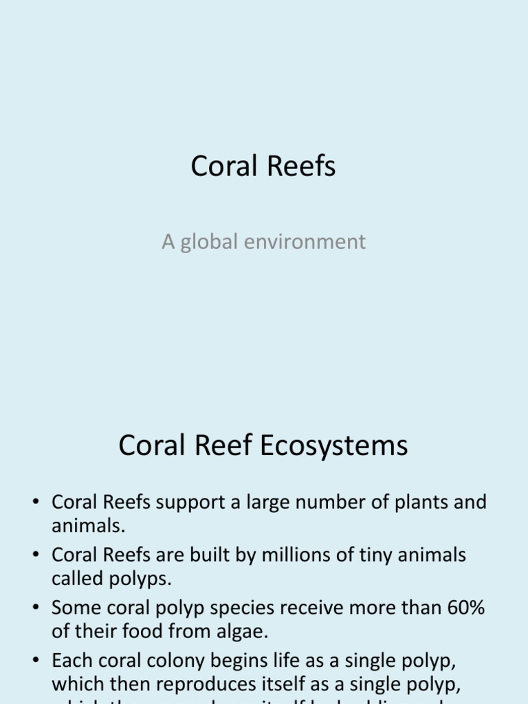 Coral Reefs - Introduction | PDF