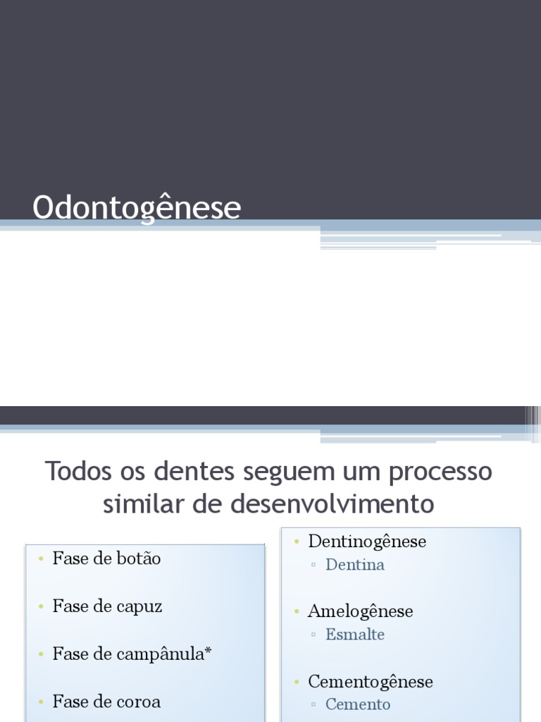 4 Odontogênese PDF | PDF | Dente | Dentina