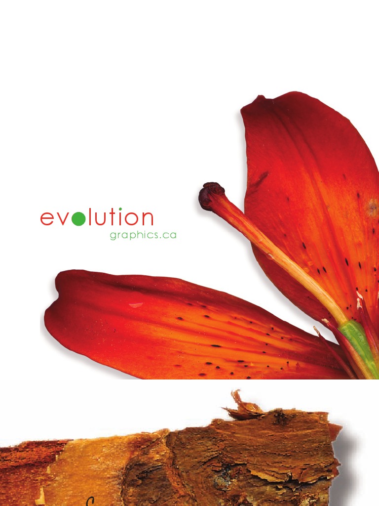 Evolution Graphics Overview | PDF