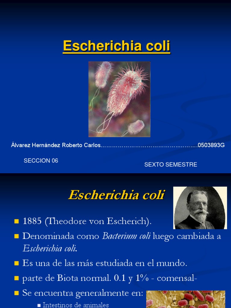 Escherichia Coli | PDF | Escherichia coli | Diarrea