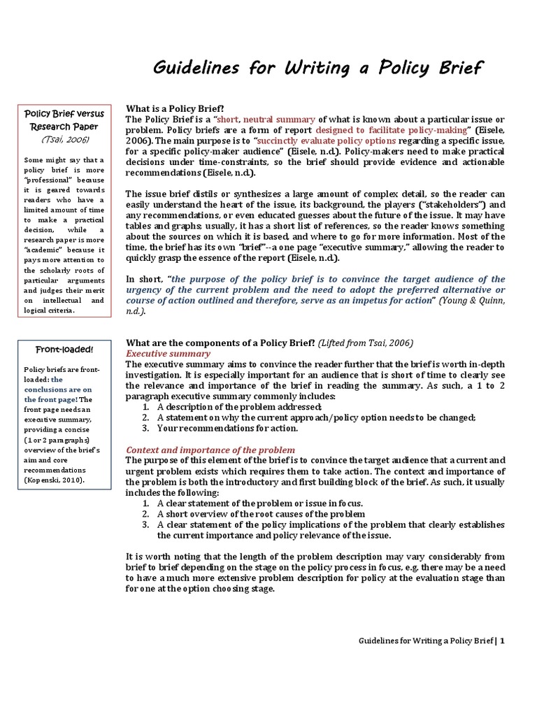 Guidelines For Writing A Policy Brief | PDF | Policy Analysis | Target ...