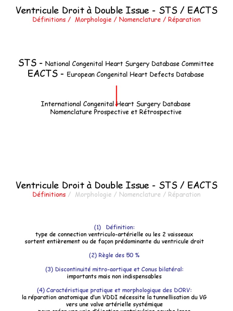 Présentation VDDI copie.ppt | Médecine interne | Cardiologie