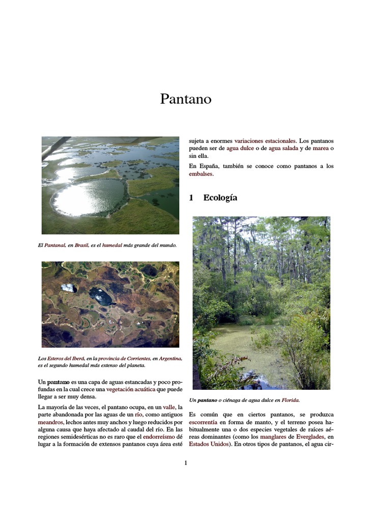 pantanos.pdf | Pantano | Cuerpos de agua