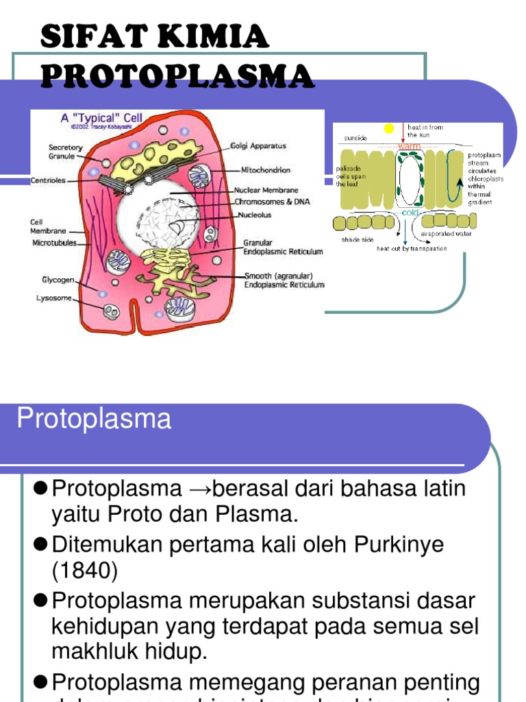 Sifat Kimia Protoplasma | PDF