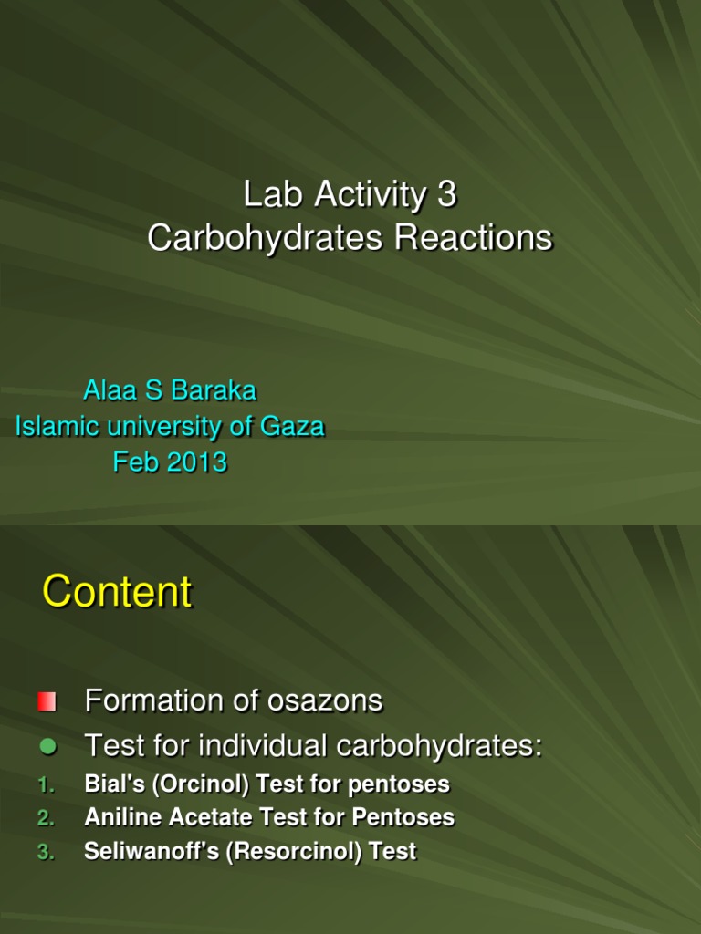 Lab Activity 31 Pdf Carbohydrates Organic Compounds