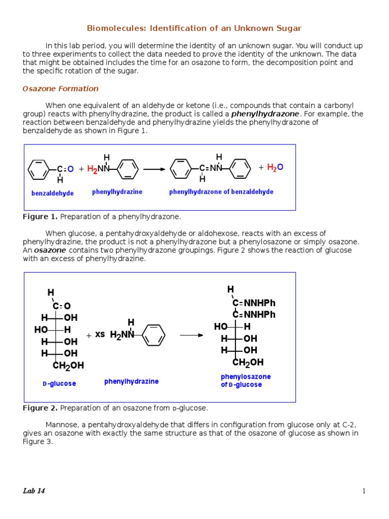 Lab 14 Biomolecules-Identification of An Unknown Sugar | PDF | Glucose ...