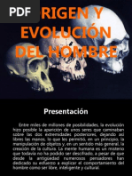 Dryopithecus | PDF | Hominidae | Homo Sapiens