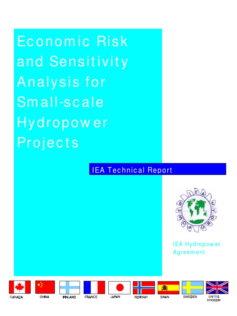 Economic Risk and Sensitivity Analysis | PDF