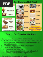 Cohen's Diet Plan | PDF